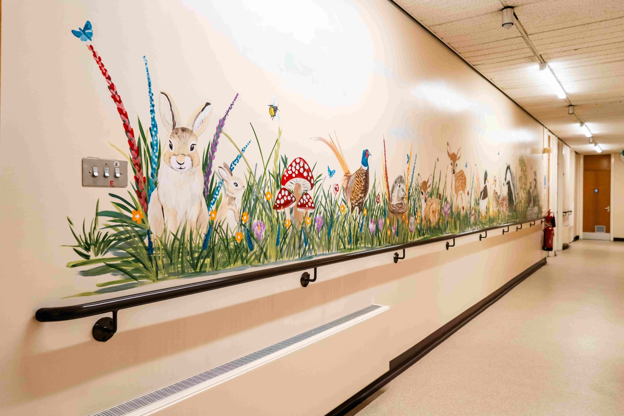 Housing partnership’s charity donation creates brighter hospital spaces ...